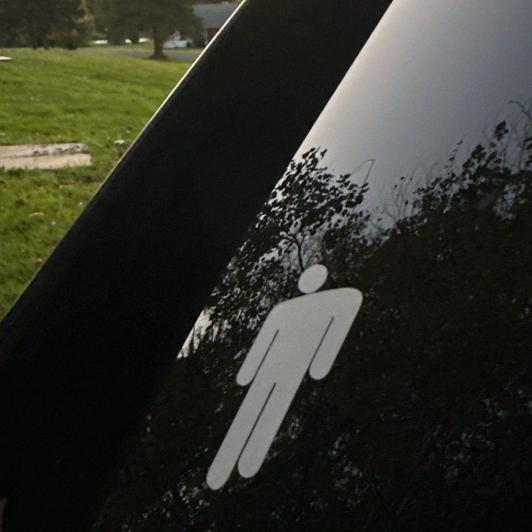 Blohsh Sticker | Blosh Magnet - Etsy