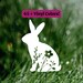 Rabbit Decal Rabbit Sticker Pet Decal Gift for Pet Lover - Etsy