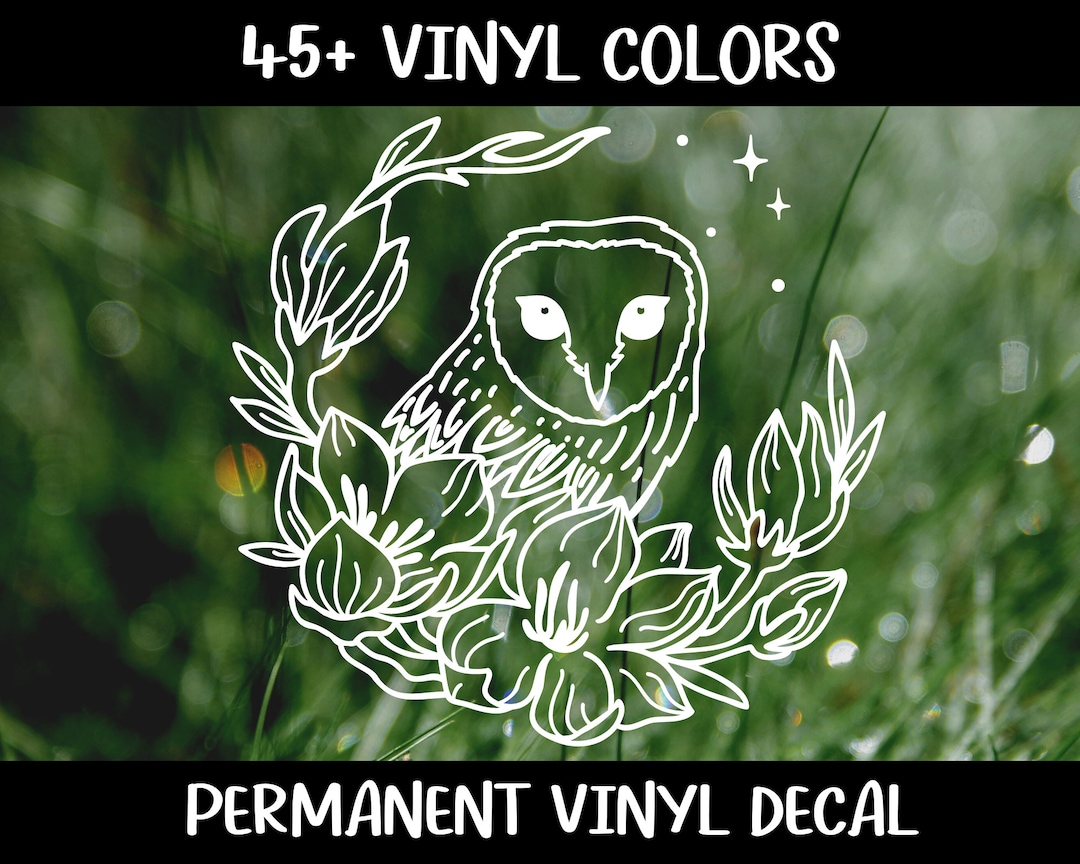 Owl Vinyl Decal, Car Decal, Laptop Decal, Water Bottle Decal, Owl ...