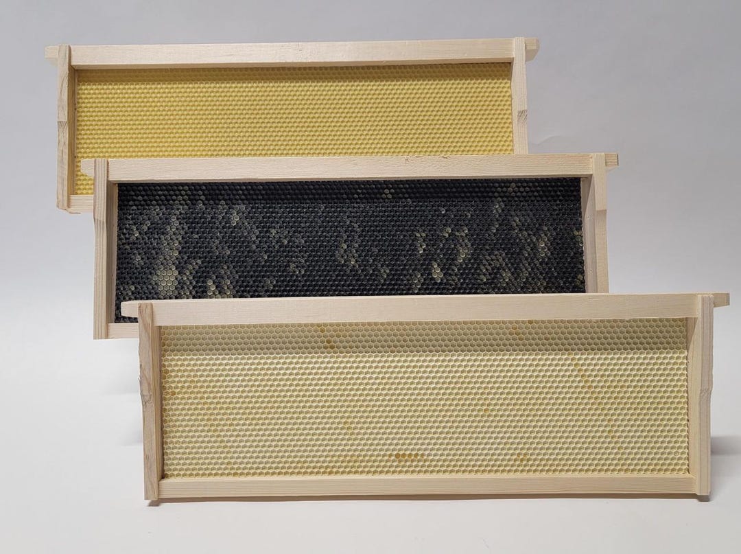 Assembled 6-1/4 Wood Bee Hive Frames Triple Wax Coated Plastic ...