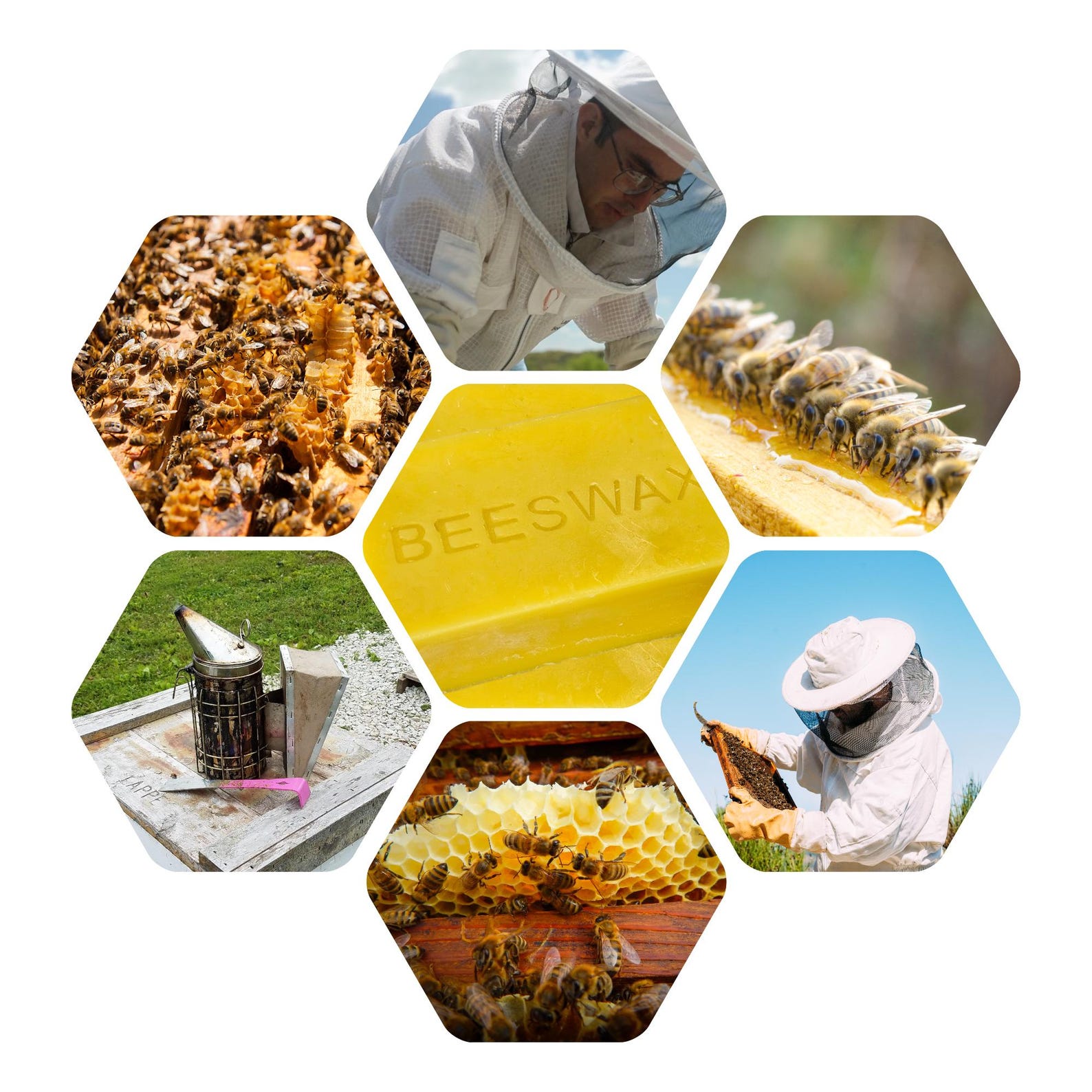 5 Frame Nuc Telescoping Cover and Inner Cover Beekeeping Supplies Honey ...