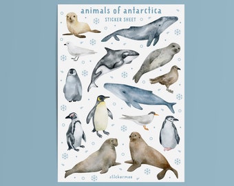 Antarctica Stickers | Etsy UK