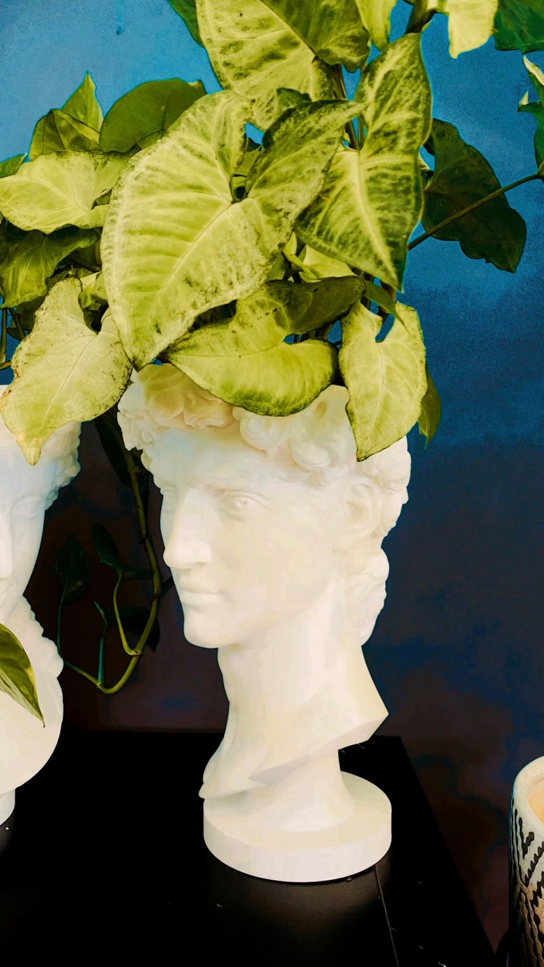 David by Michelangelo 3D Printed Bust Planter - Etsy