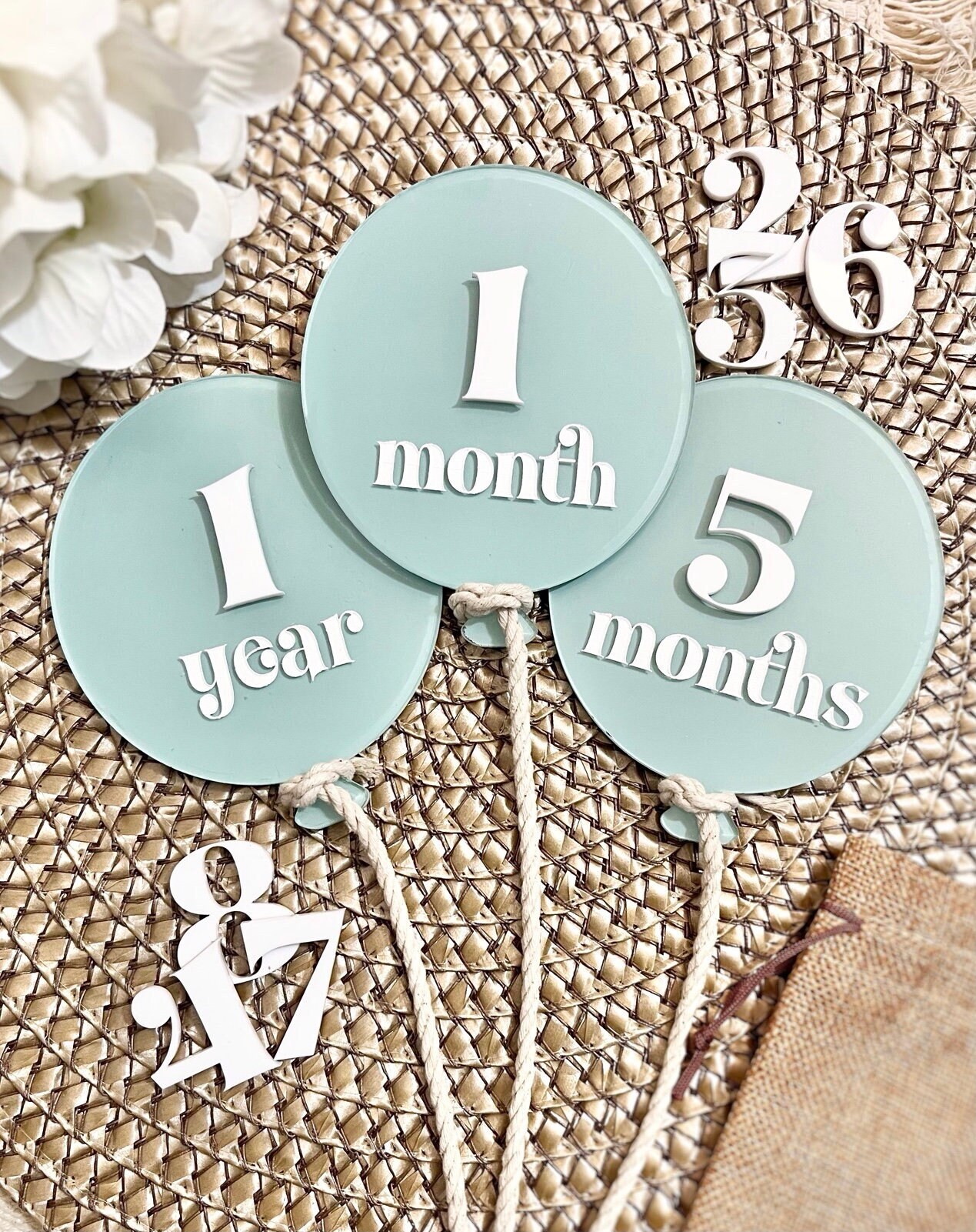 Interchangeable Monthly Milestone Set Acrylic Balloon - Etsy Canada