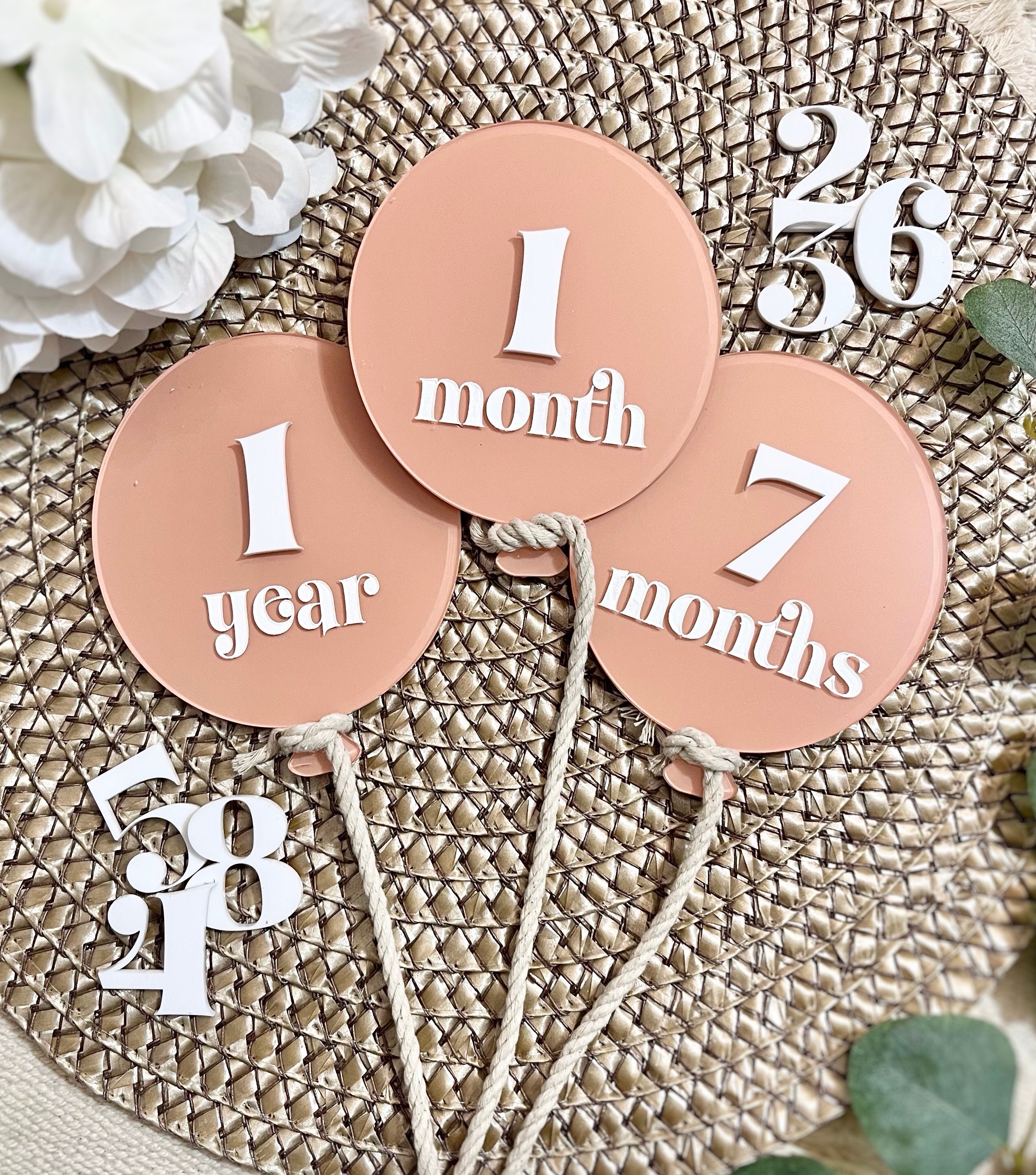 Interchangeable Monthly Milestone Set Acrylic Balloon - Etsy Canada