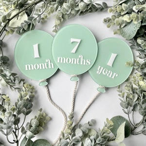 Interchangeable Monthly Milestone Set Acrylic Balloon Monthly Milestone ...