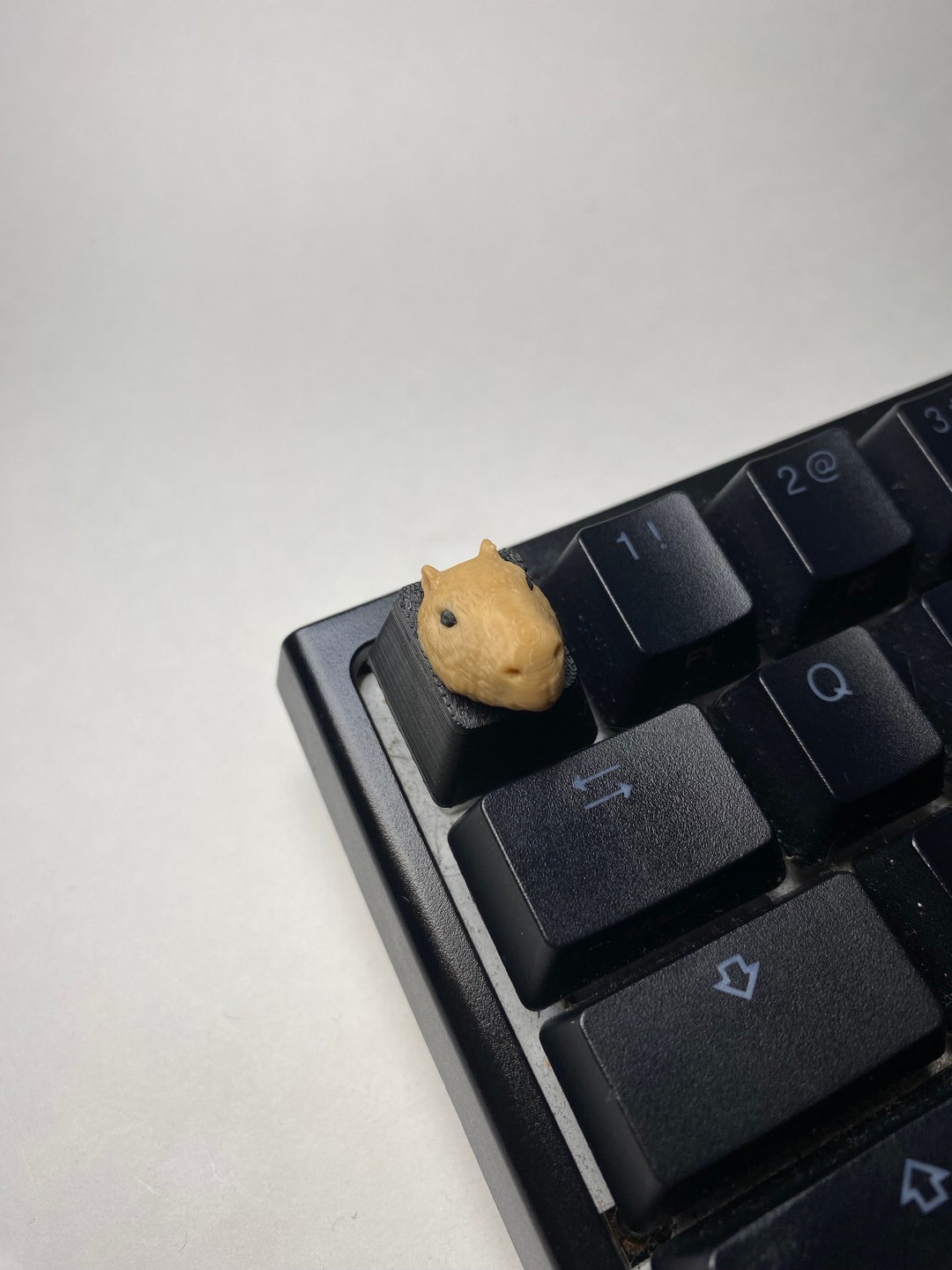 Capybara Keycap for Mx Keyboards - Etsy
