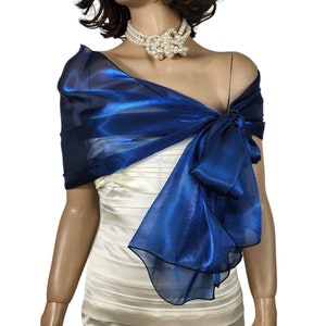 Gold Chiffon Evening Wrap: Sparkle Organza Shawl - Etsy