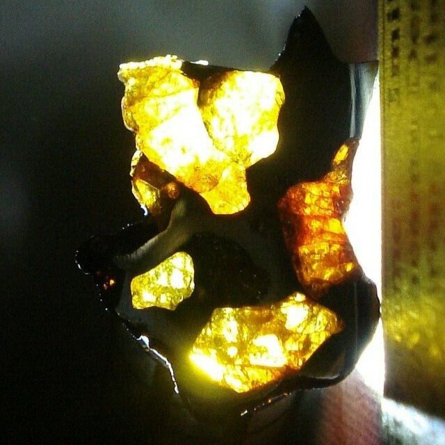 Museum Quality Imilac Pallasite Meteorite Top Quality Full Slice Chile ...
