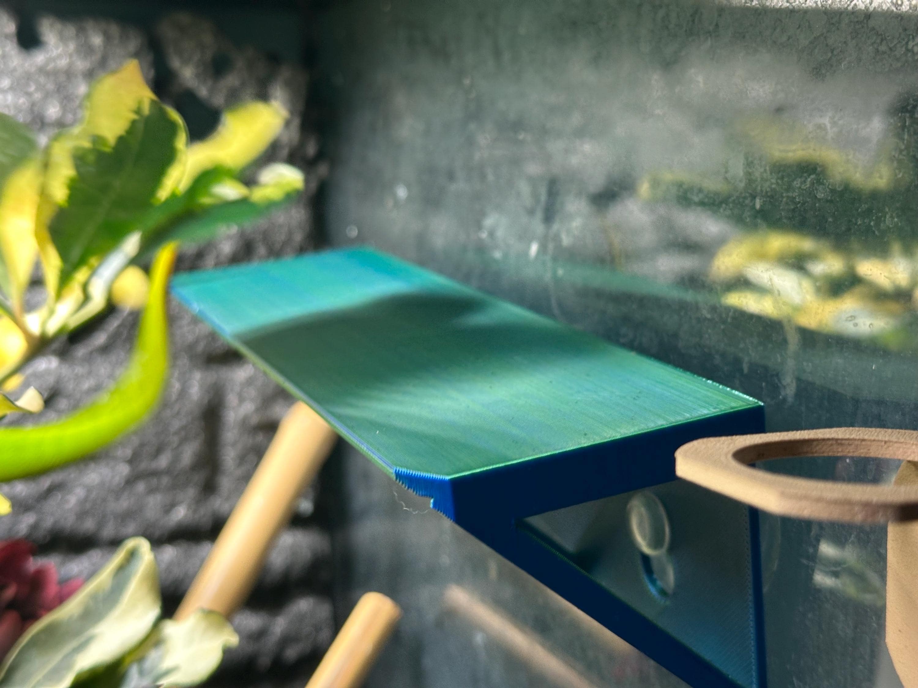 XL Simple Reptile Ledge, Shelf, Basking Platform for Geckos, Frogs, Day ...