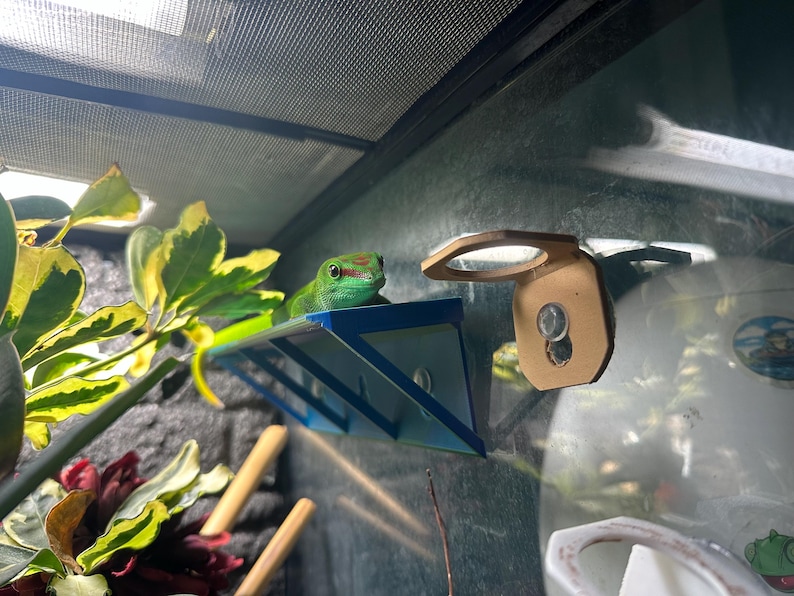 XL Simple Reptile Ledge, Shelf, Basking Platform for Geckos, Frogs, Day ...