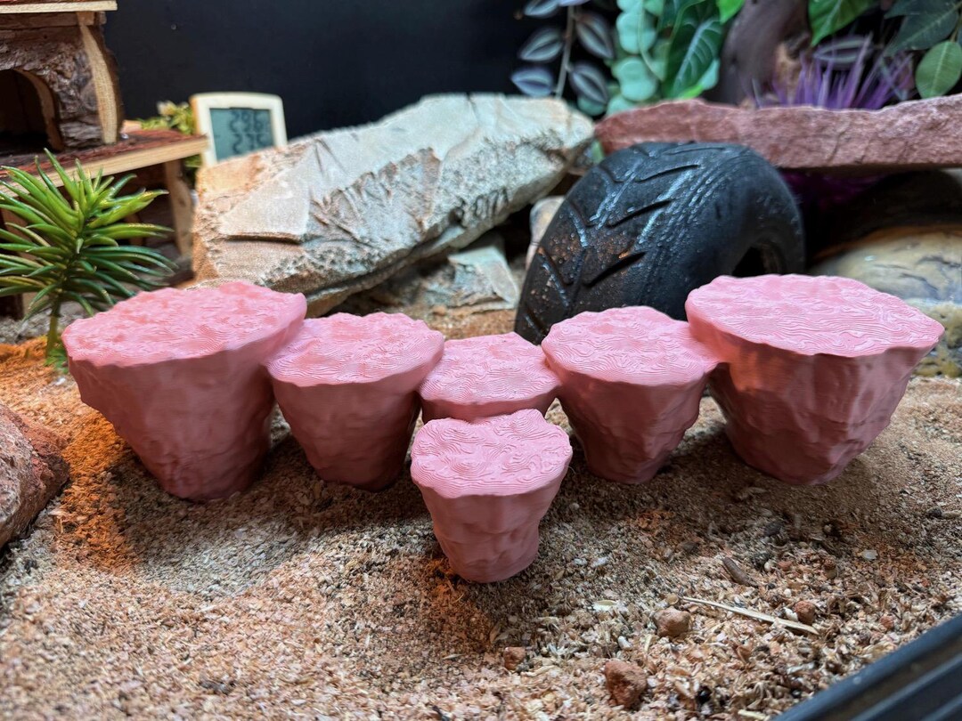 Terrarium Stepping Stone Ledge (320mm) - Reptile Basking Rock, Snake ...
