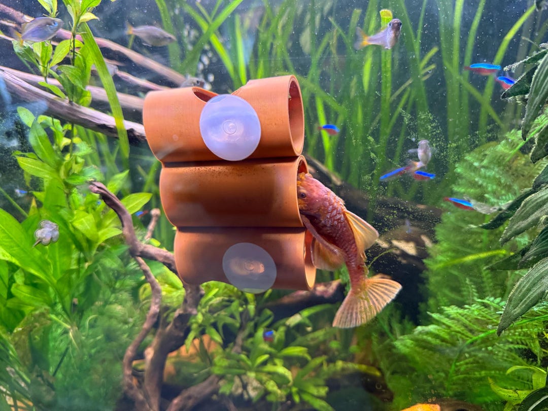 3D Printed Aquarium Hide | Triple Tube Design With Suction Cups - Etsy