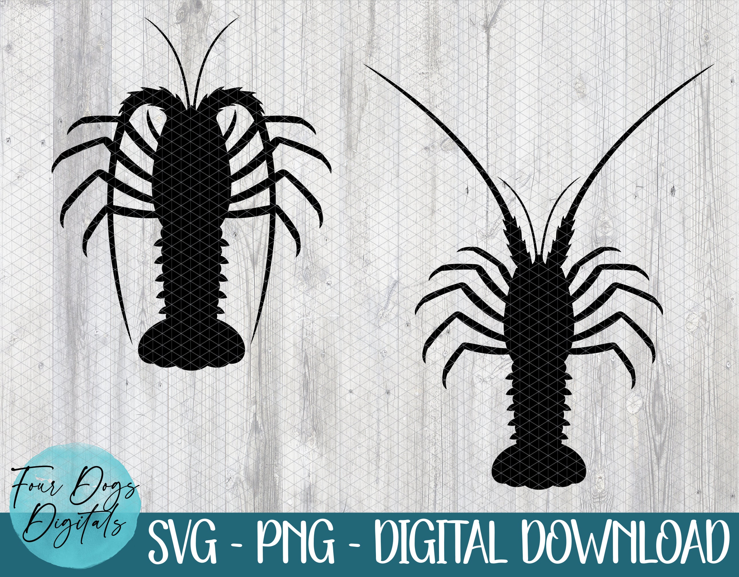 Spiny Lobster SVG Png | Lobster SVG | Florida Lobster Svg | Mini Season ...