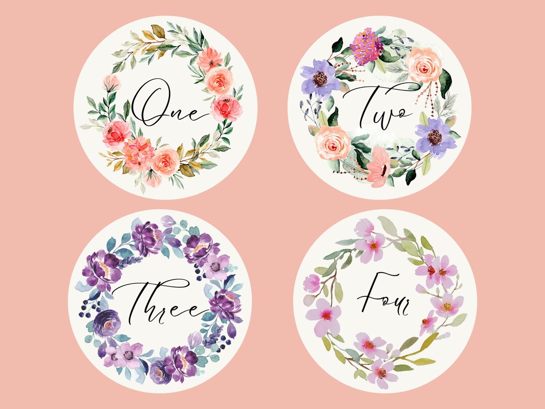 Baby Girl Milestone Stickers | Baby Monthly Sticker | Girl Months ...