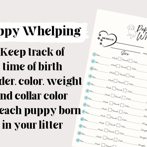 Puppy Litter Record AKC Breeder Forms - Etsy