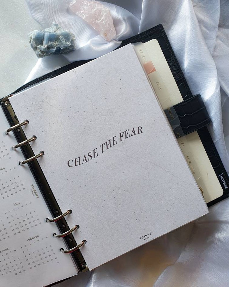 Chase the Fear Printable PDF Dashboard Happy Planner Mini Size Chic ...