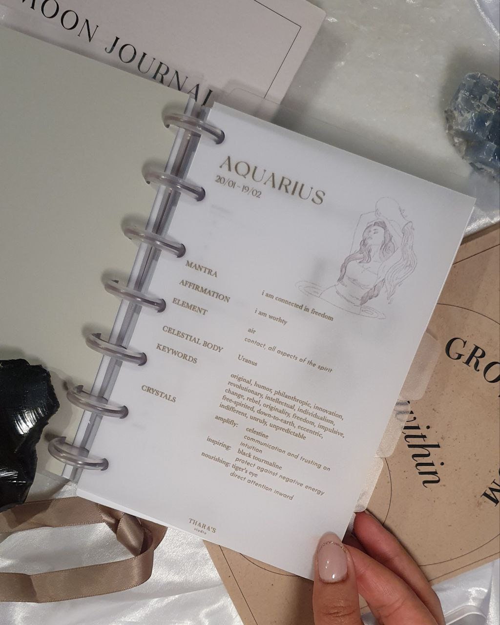 Aquarius Sign Astrology Planner Dashboard Hpmini PDF Happy Planner Mini ...