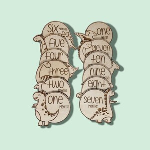 Baby Milestone Markers Dinosaur Theme Monthly Marker Wood Milestone ...
