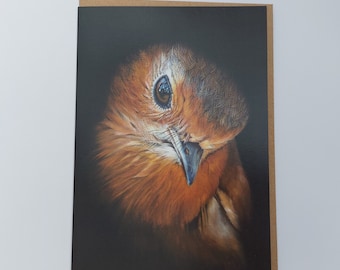 In Memory Of, Robin Greeting Card, A Visit From a Robin, Sympathy Card ...