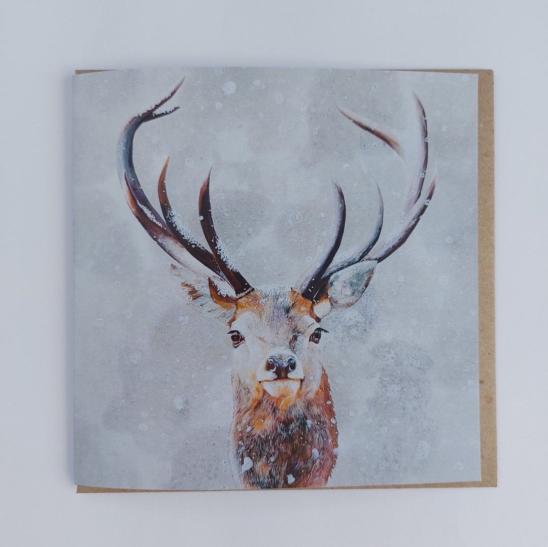 Stag Christmas Card. Stag in Snow - Etsy