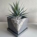 Square Crystal Planter Pots - Etsy