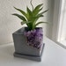 Square Crystal Planter Pots - Etsy