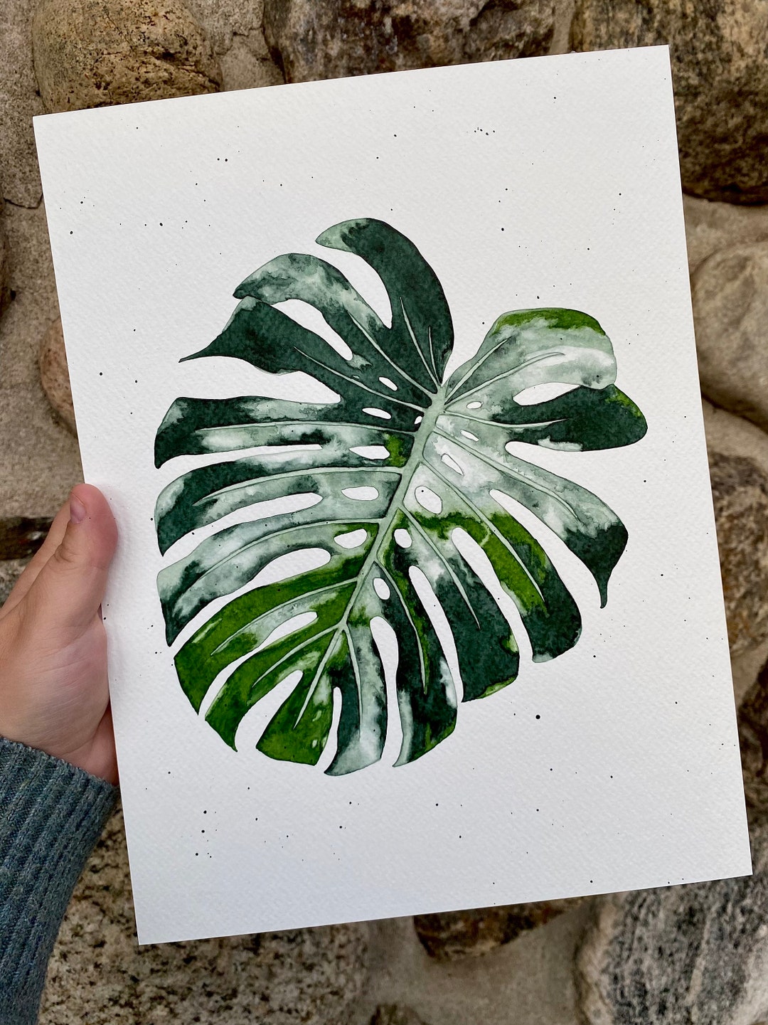 Watercolor of a Leaf From Monstera Ocean Mint - Etsy Canada
