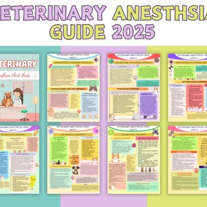 Veterinary Anesthesia Study Guide: Vet Tech Notes (digital Download) - Etsy