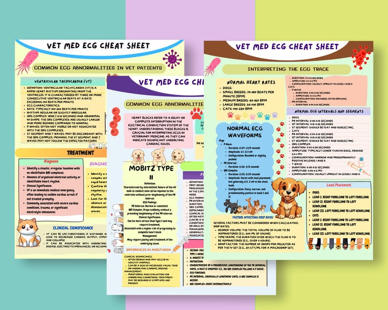 ADVANCE Vet Med ECG Cheat Sheets Bundle, Vet Nurse ECG Guide, Vet Tech ...