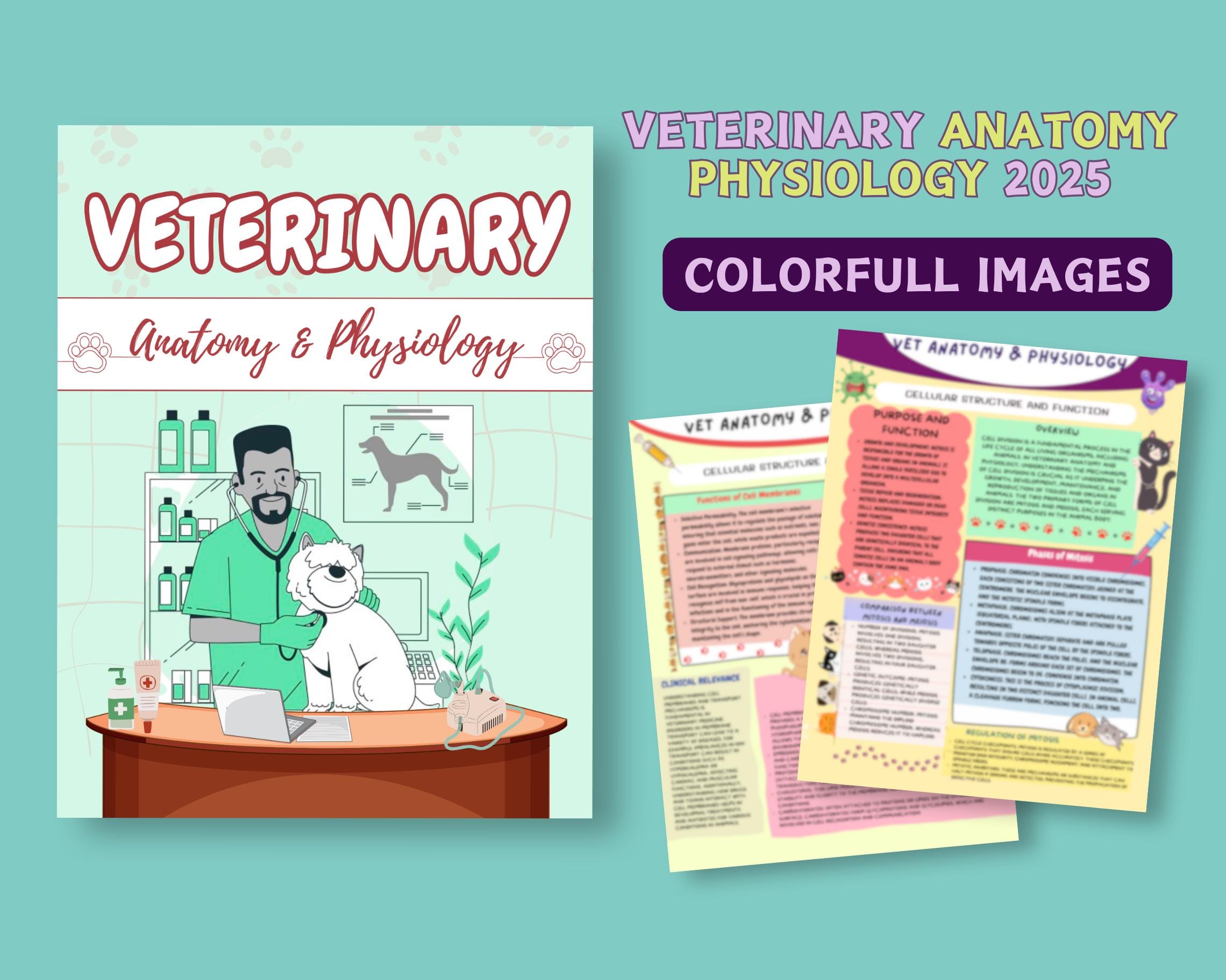 Veterinary Anatomy & Physiology Study Guide: Vet Tech Notes (digital ...