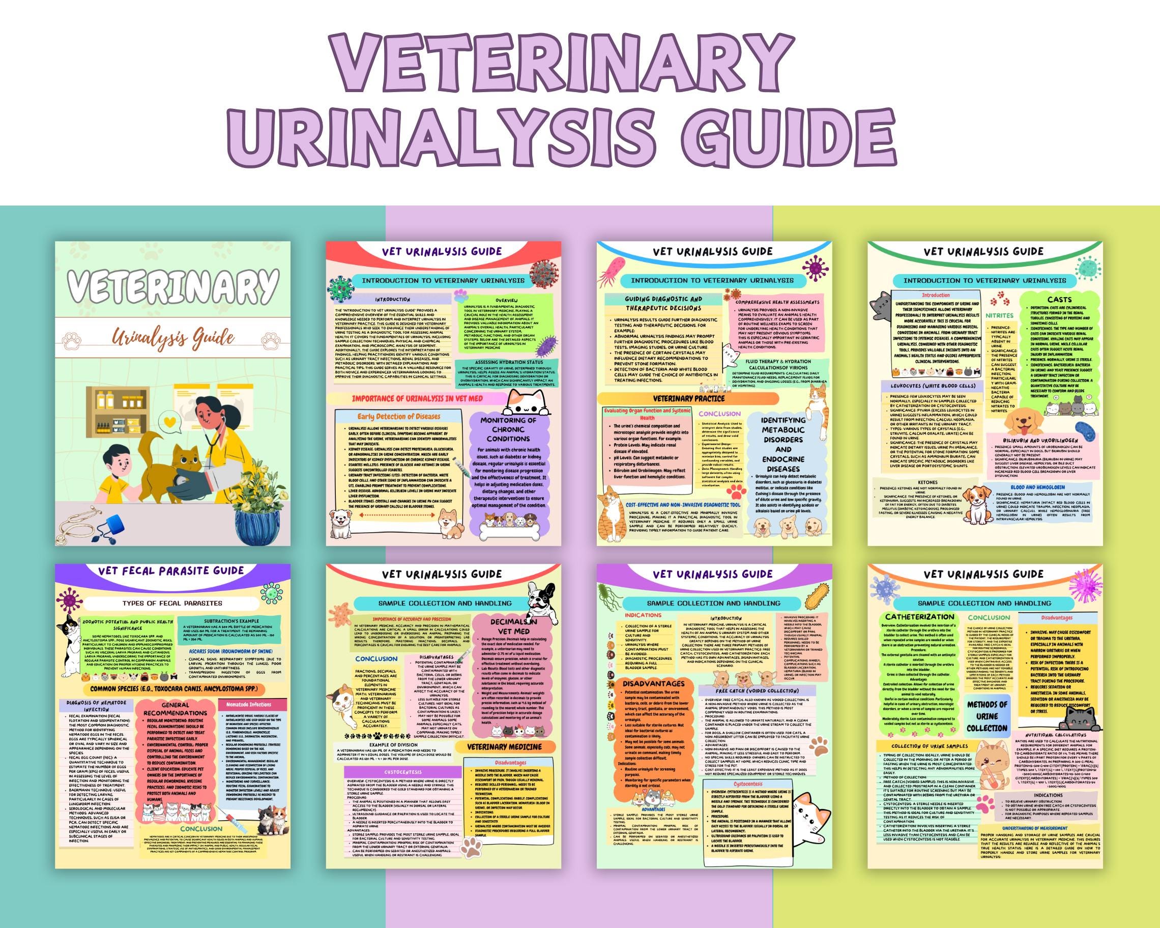 Veterinary Urinalysis Guide: Vet Tech Notes & Cheat Sheets (digital ...