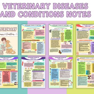 Veterinary Disease Study Guide Bundle: Vet Tech Notes (digital Download ...