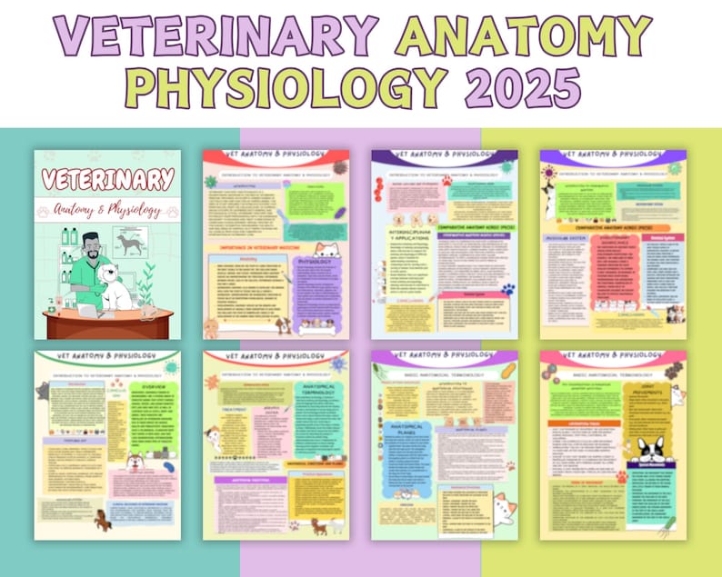 Vet Tech Study Guide Bundle: Veterinary Notes, Vet Med Student (digital ...