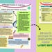 Veterinary Disease Study Guide Bundle: Vet Tech Notes (digital Download ...