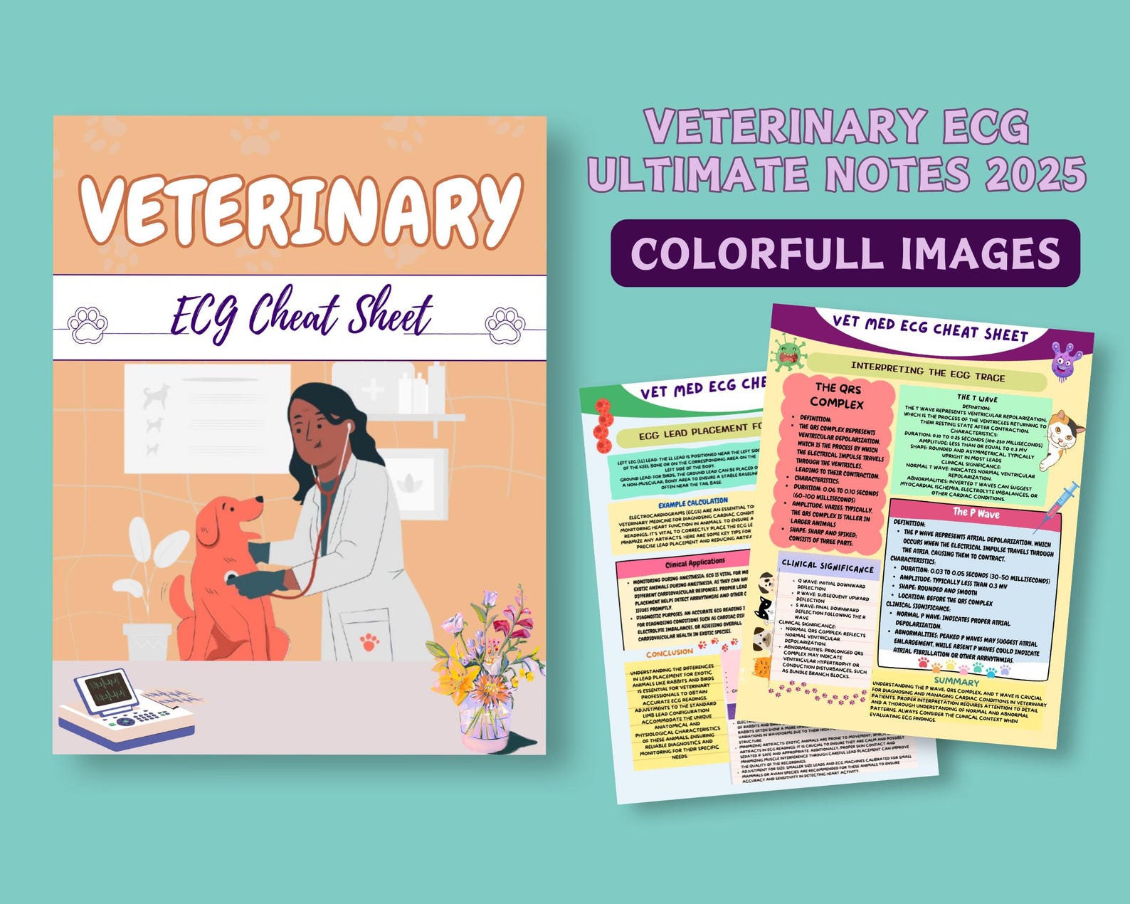 ADVANCE Vet Med ECG Cheat Sheets Bundle, Vet Nurse ECG Guide, Vet Tech ...