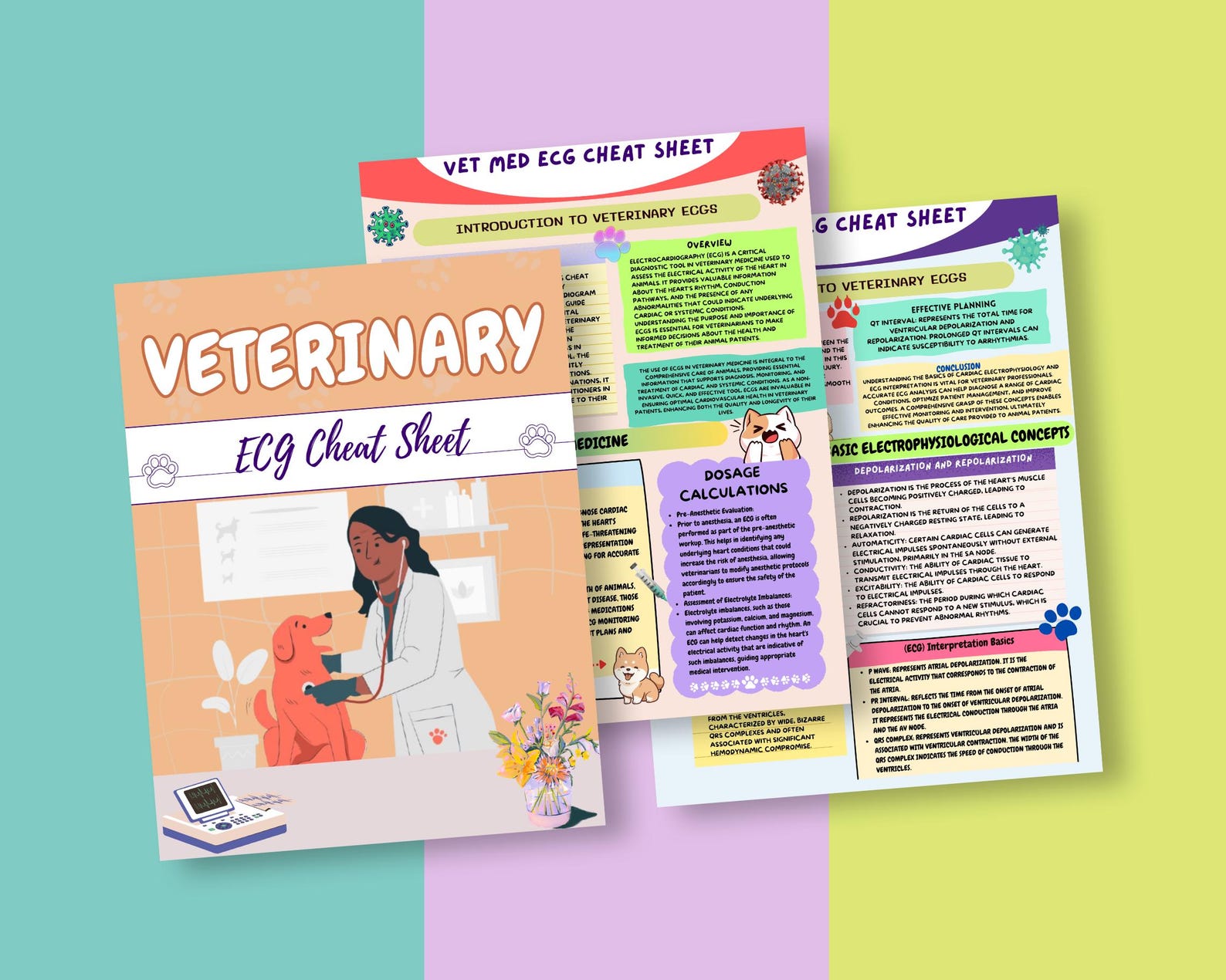 ADVANCE Vet Med ECG Cheat Sheets Bundle, Vet Nurse ECG Guide, Vet Tech ...
