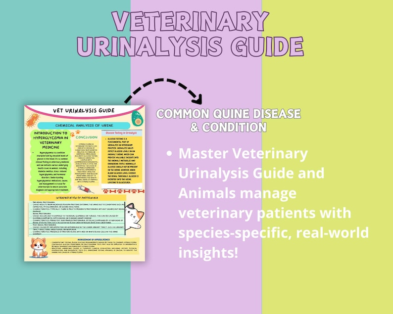 Veterinary Urinalysis Guide, Vet Tech Bundle, Veterinary Notes, Vet ...