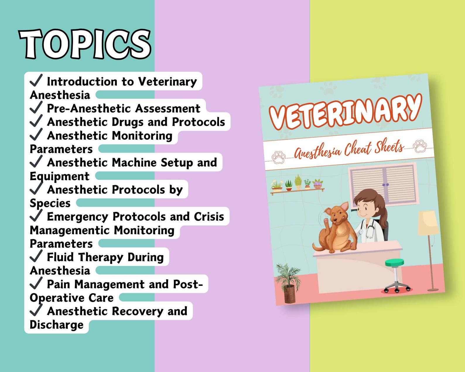 Veterinary Anesthesia Study Guide: Vet Tech Notes (digital Download) - Etsy
