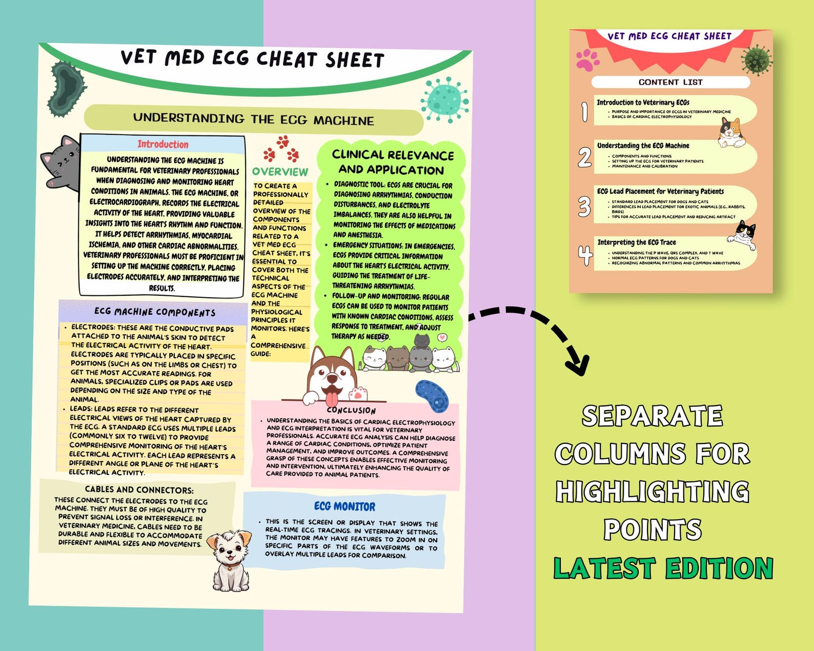 Veterinary ECG Cheat Sheets Bundle: Vet Tech Guide (digital Download ...