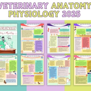 Veterinary Anatomy & Physiology Study Guide: Vet Tech Notes (digital ...