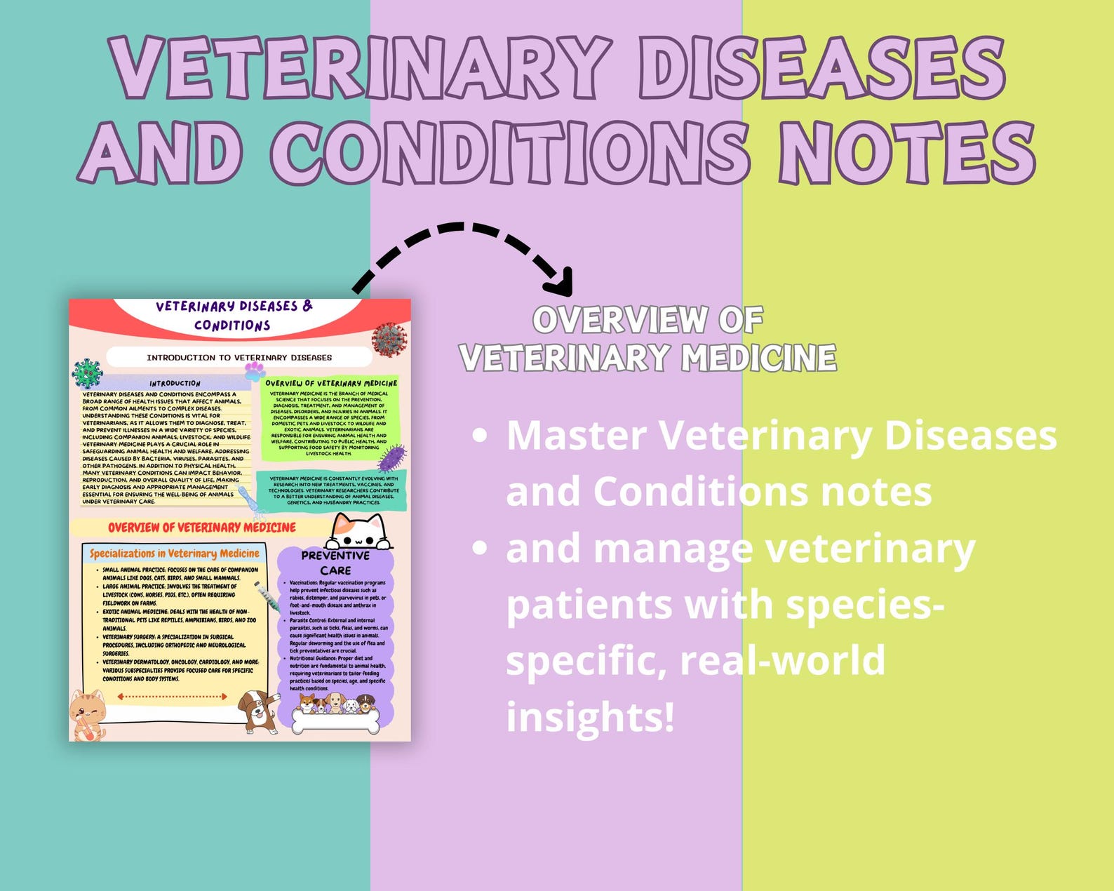 Veterinary Disease Study Guide Bundle: Vet Tech Notes (digital Download ...
