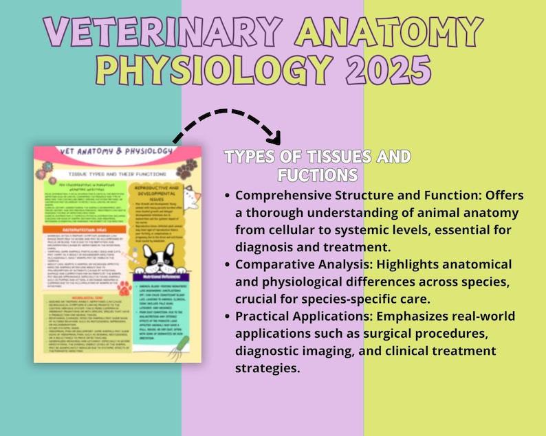 Veterinary Anatomy & Physiology Study Guide: Vet Tech Notes (digital ...
