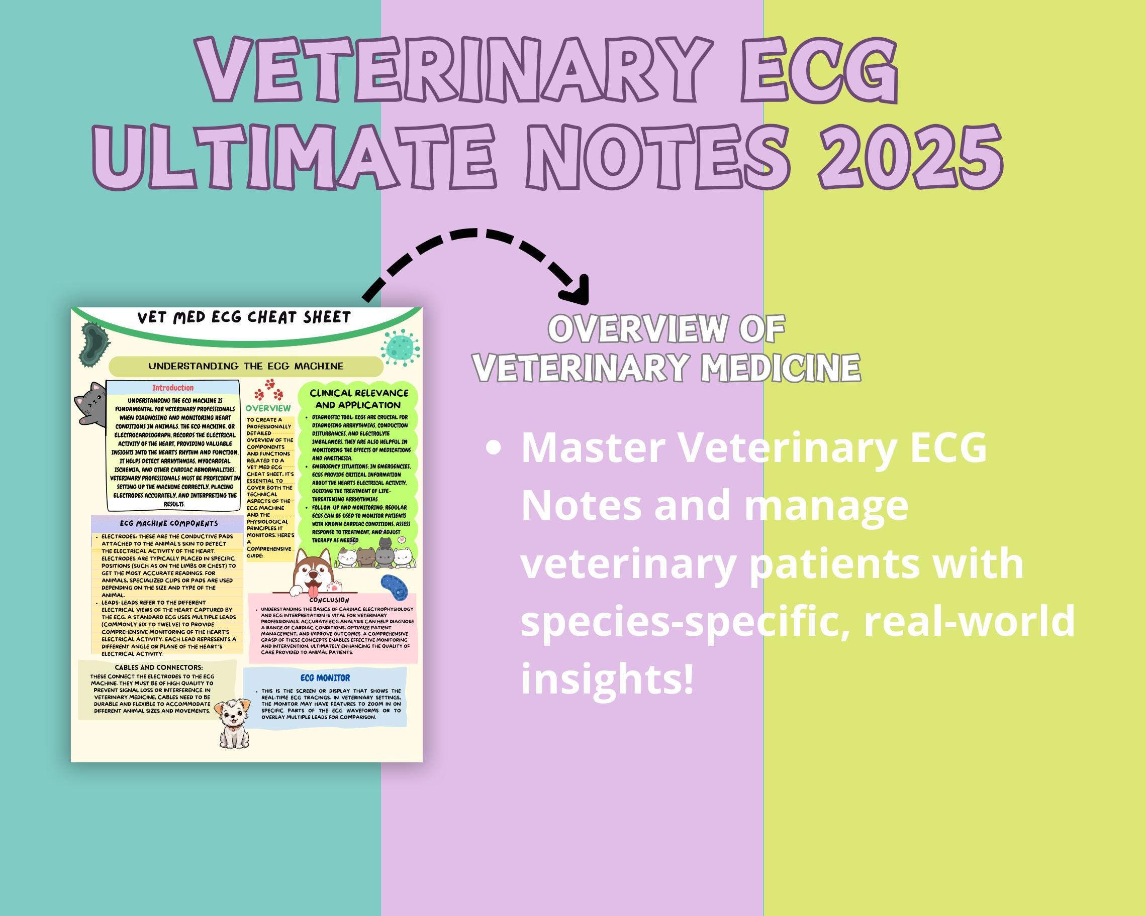 Veterinary ECG Cheat Sheets Bundle: Vet Tech Guide (digital Download ...