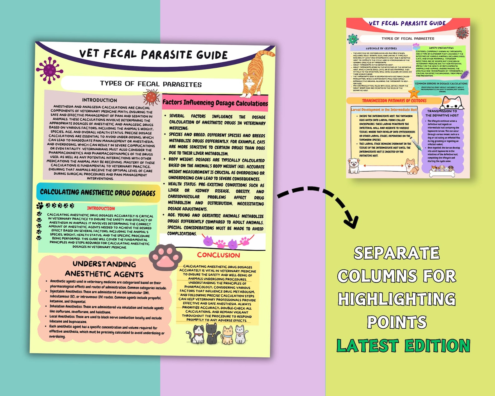 Veterinary Fecal Parasite Guide: Vet Tech Notes (digital Download) - Etsy