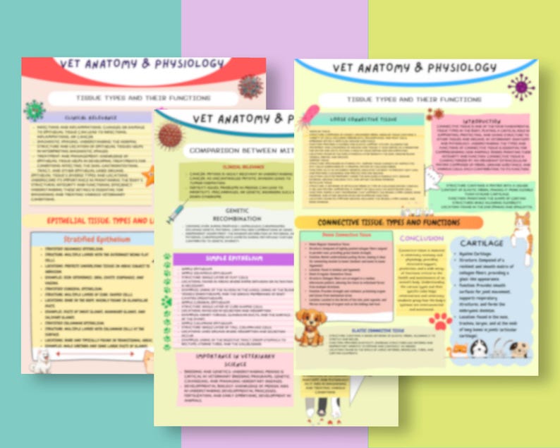 Veterinary Anatomy & Physiology Study Guide: Vet Tech Notes (digital ...