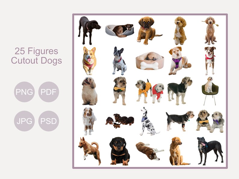 125 BIG SET Cutout Photoshop People Png Psd Male, Female, Kids, Dogs ...