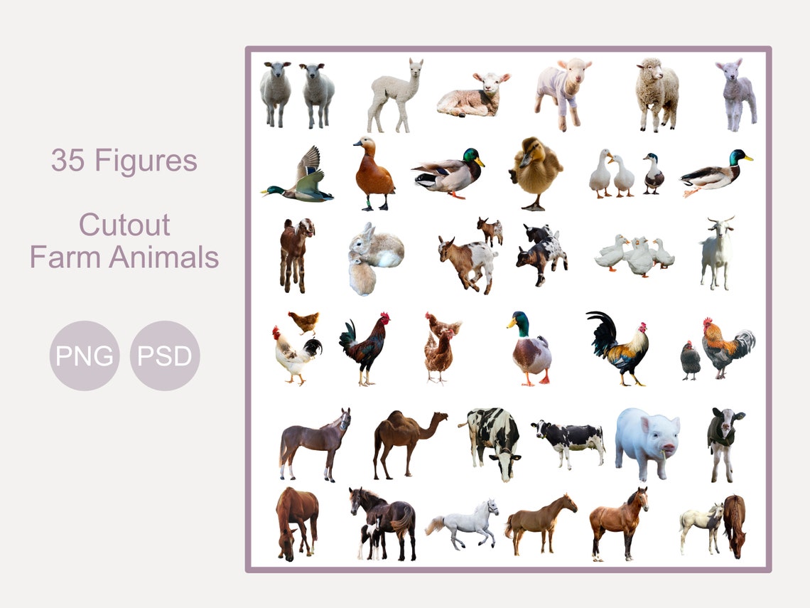 Cutout Farm Animals 1 35 Pack Realistic Animals Instant - Etsy