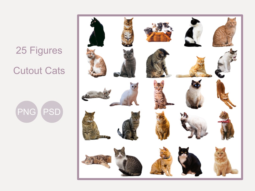 Cutout Cats Version 2 25 Pack Realistic Cats Instant Download Png-psd ...