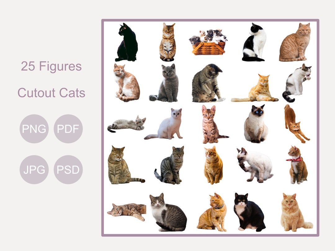 Cutout Cats Version 2 25 Pack Realistic Cats Instant - Etsy